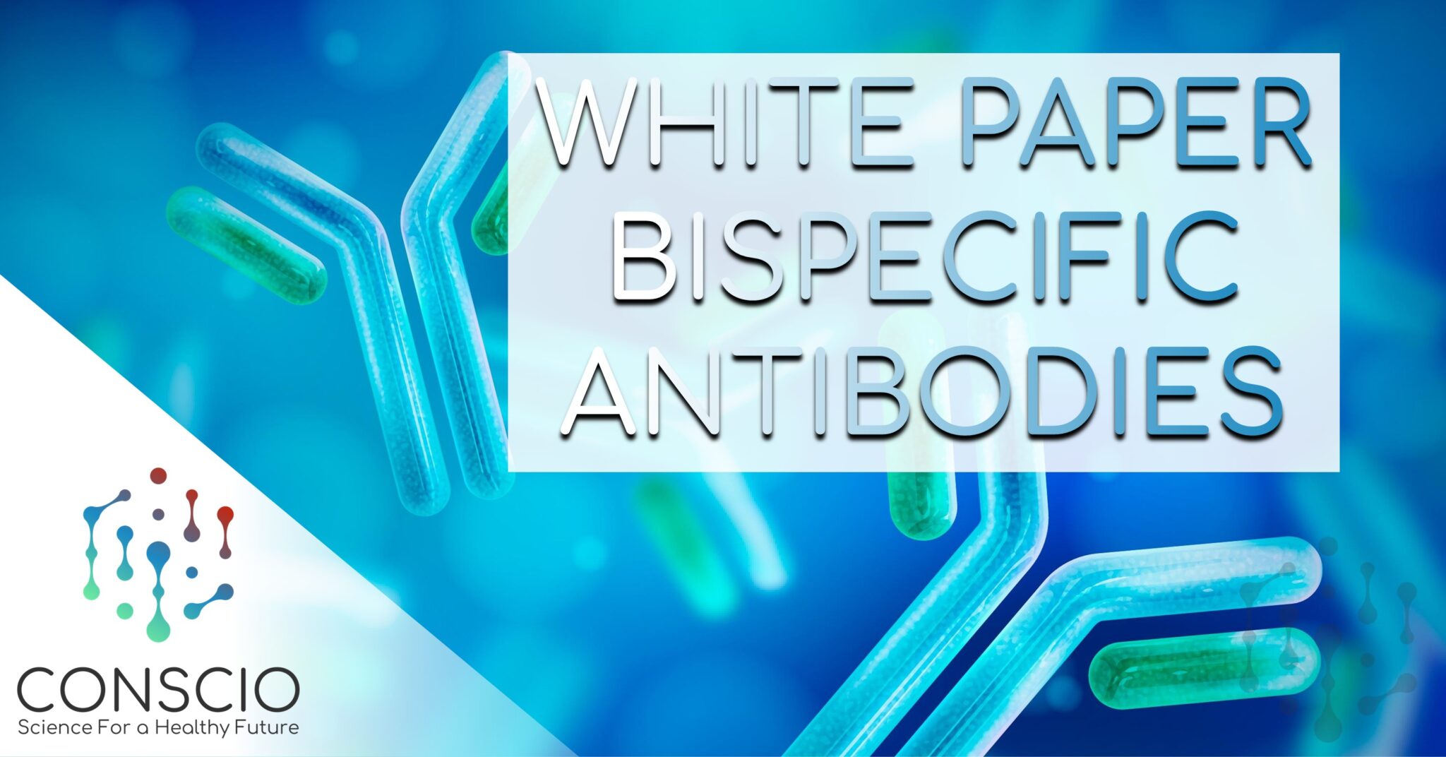 EMA IVRT/IVPT Guideline – Practical White Paper