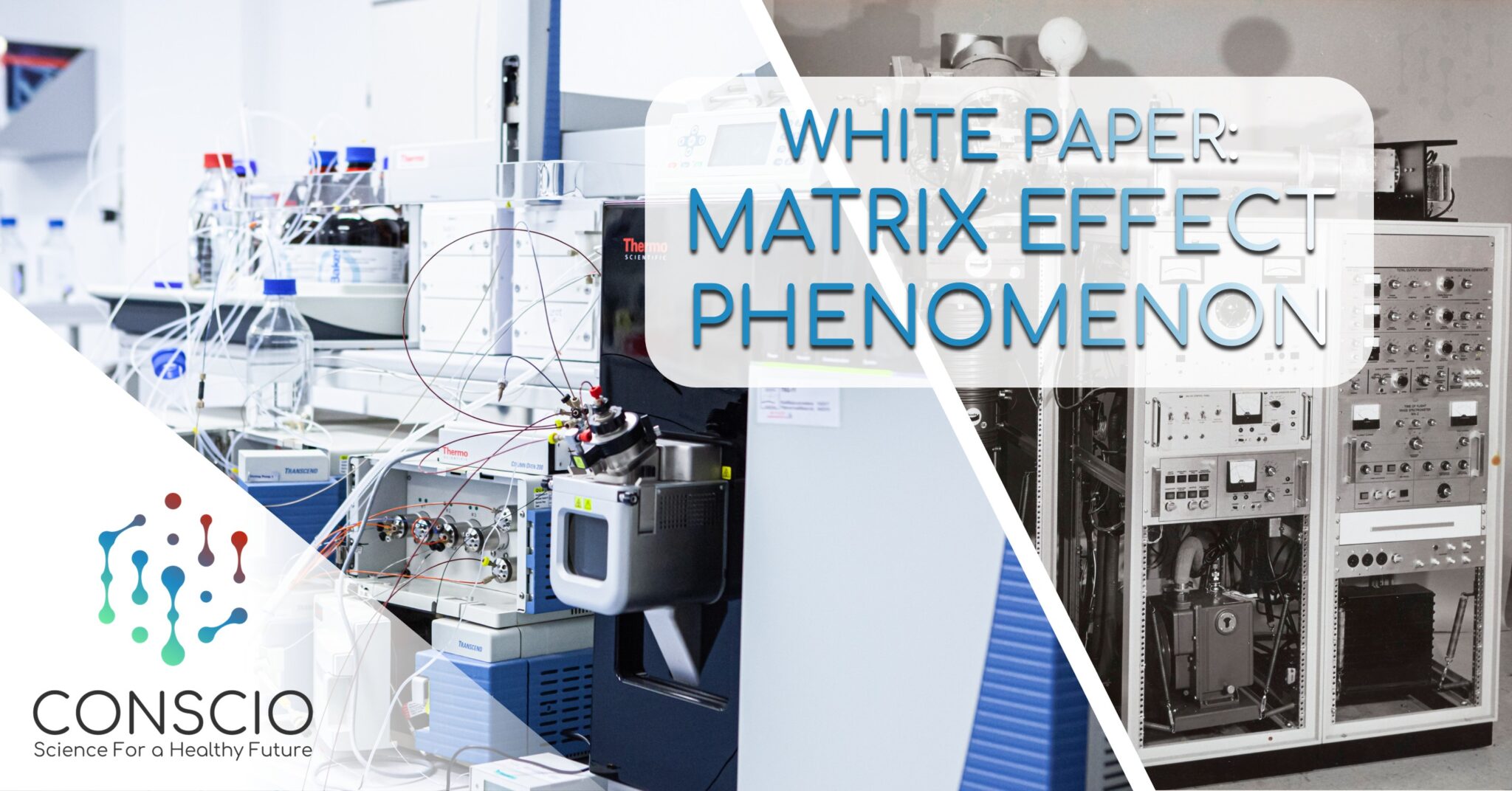 EMA IVRT/IVPT Guideline – Practical White Paper